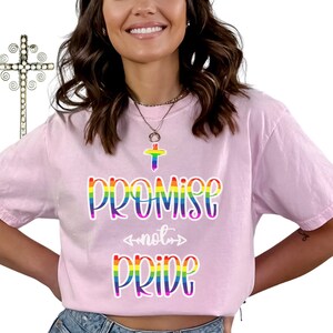 Promise Not Pride Comfort Colors Shirt Take Back the Rainbow Genesis 9: ...