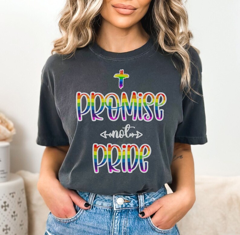 Promise Not Pride Comfort Colors Shirt Take Back the Rainbow Genesis 9: ...