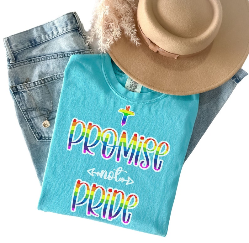 Promise Not Pride Comfort Colors Shirt Take Back the Rainbow Genesis 9: ...