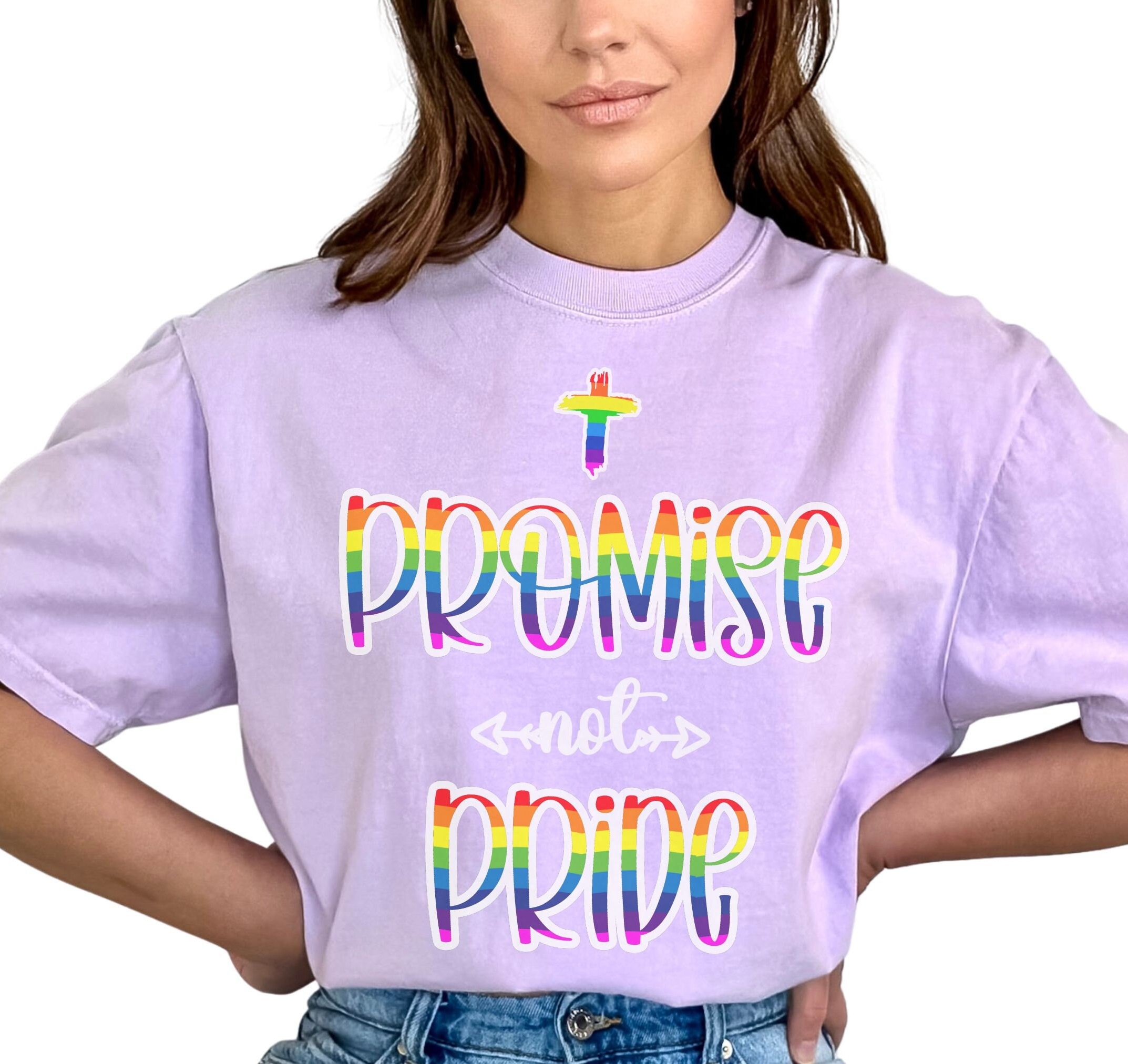 Promise Not Pride Comfort Colors Shirt Take Back the Rainbow Genesis 9: ...