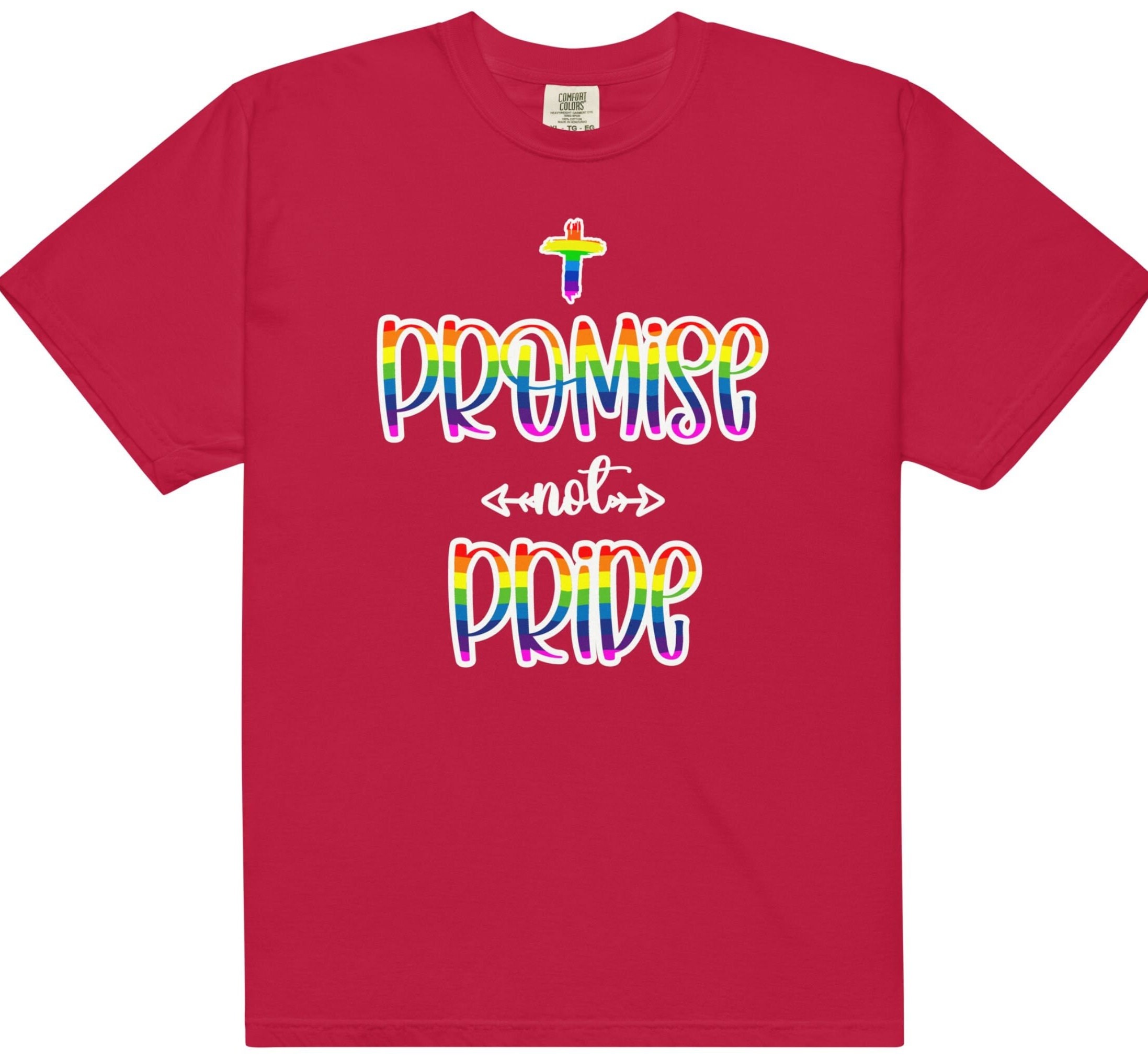 Promise Not Pride Comfort Colors Shirt Take Back the Rainbow Genesis 9: ...