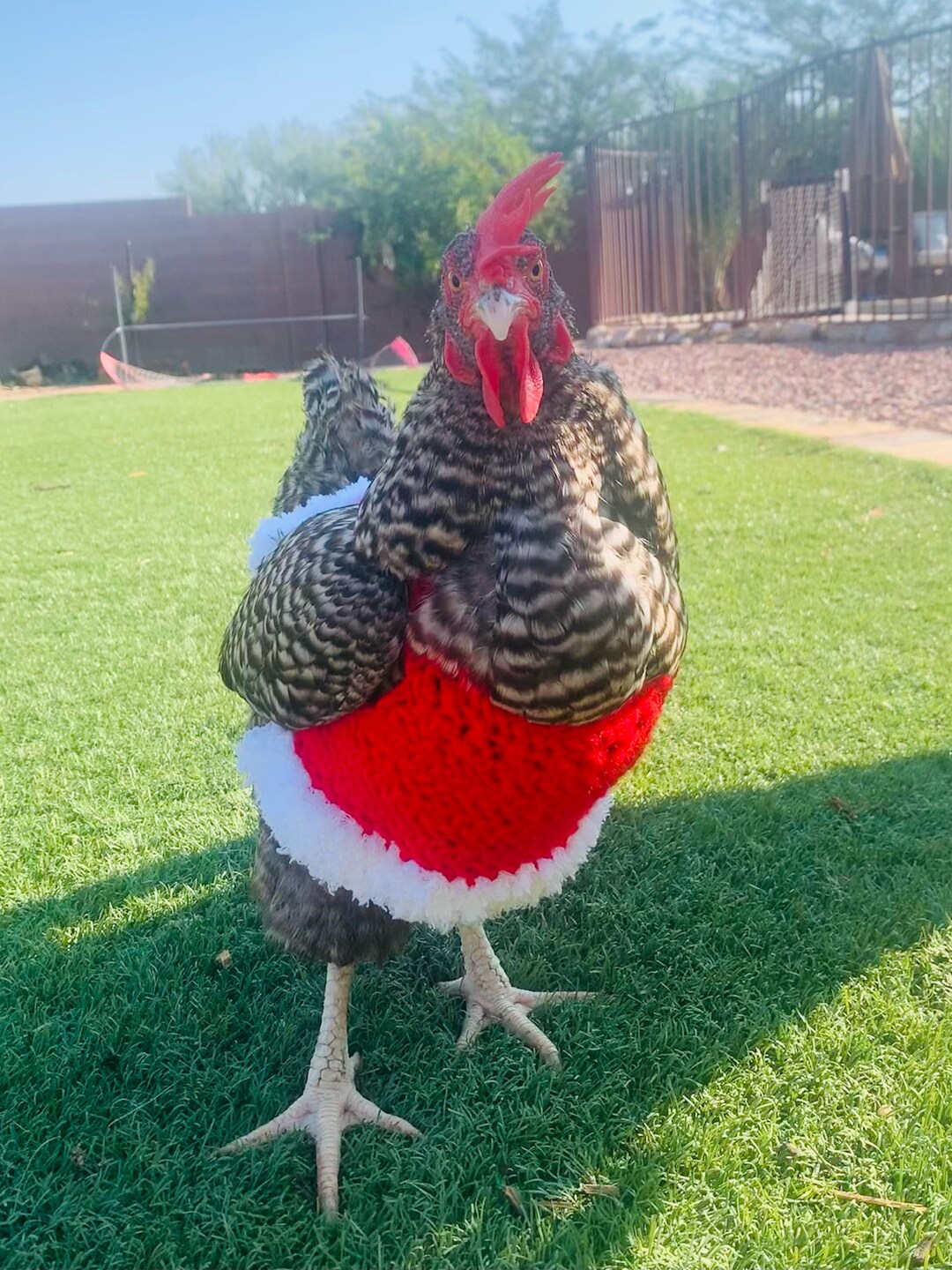 Crochet Chicken Sweater - Etsy