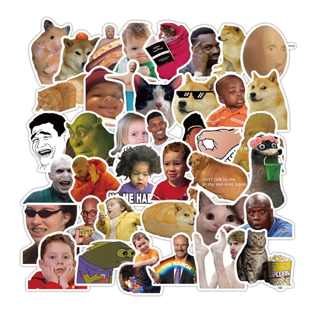 Funny Meme Stickers – Hilarious Vinyl Stickers for Personalizing ...