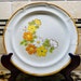Vintage Floral 1970s Plates-baroque Hearthside Spring Garden Dinner and ...