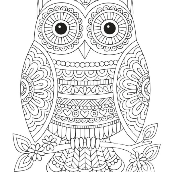 Mandala Coloring Pages - Etsy