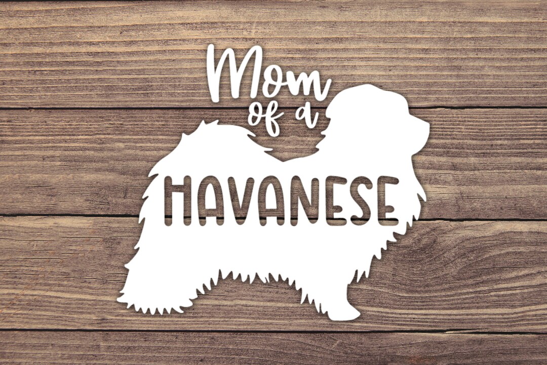 Mom of a Havanese Decal Multiple Sizes Car Decal, Bumper Sticker ...