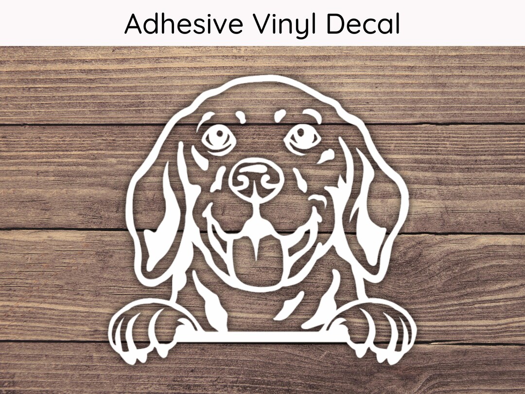 Beagle Peeking Decal, Dog Vinyl Decals, Puppy Bumper Sticker, Playful ...