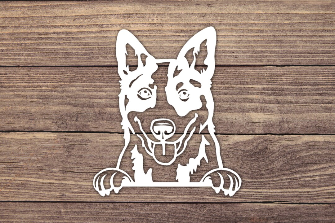Heeler Peeking Decal, Red Blue Dog Vinyl Decals, Puppy Bumper Sticker ...