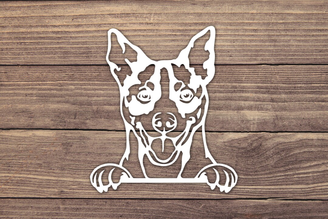 Rat Terrier Peeking Decal, Dog Vinyl Decals, Puppy Bumper Sticker ...