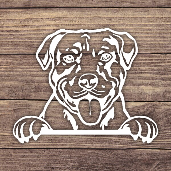 Pitbull Decals - Etsy