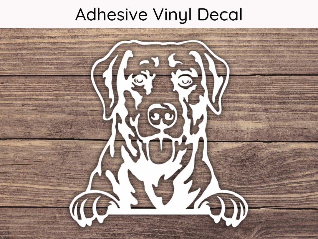 Chesapeake Bay Retriever Peeking Decal, Chessie Dog Vinyl Decals, Puppy ...