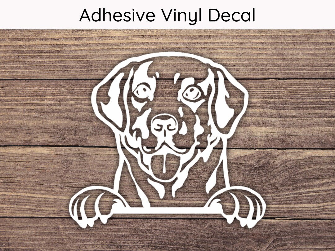 Labrador Retriever Peeking Decal, Lab Dog Vinyl Decals, Puppy Bumper ...