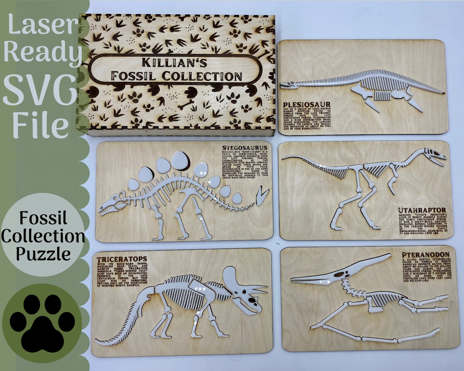 Dinosaur Fossil Puzzle SVG File for Glowforge and Laser Cutters, Dino ...