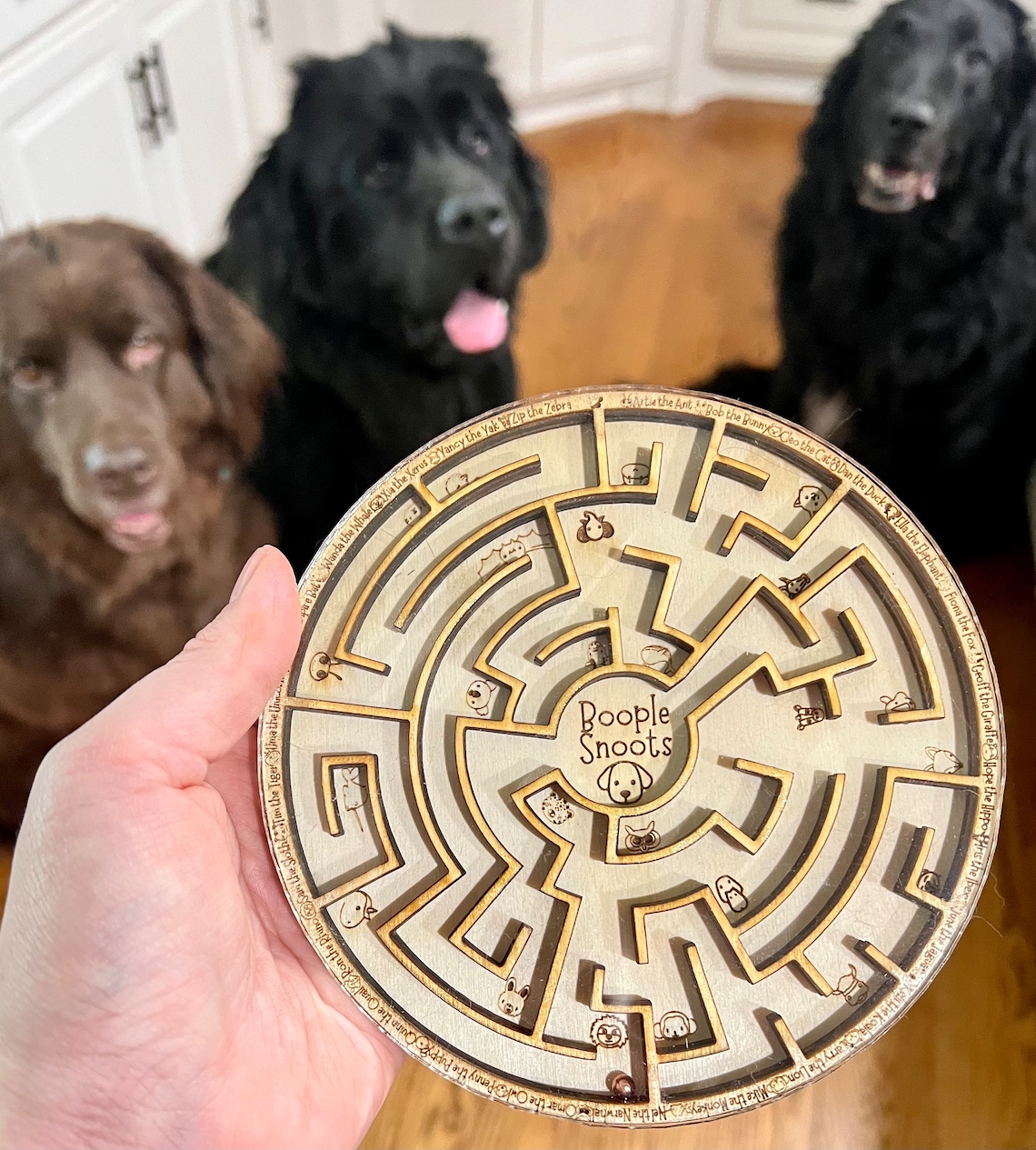 Boople Snoots Toy for Kids SVG, Laser Ready Kid Project Idea, Fun ...