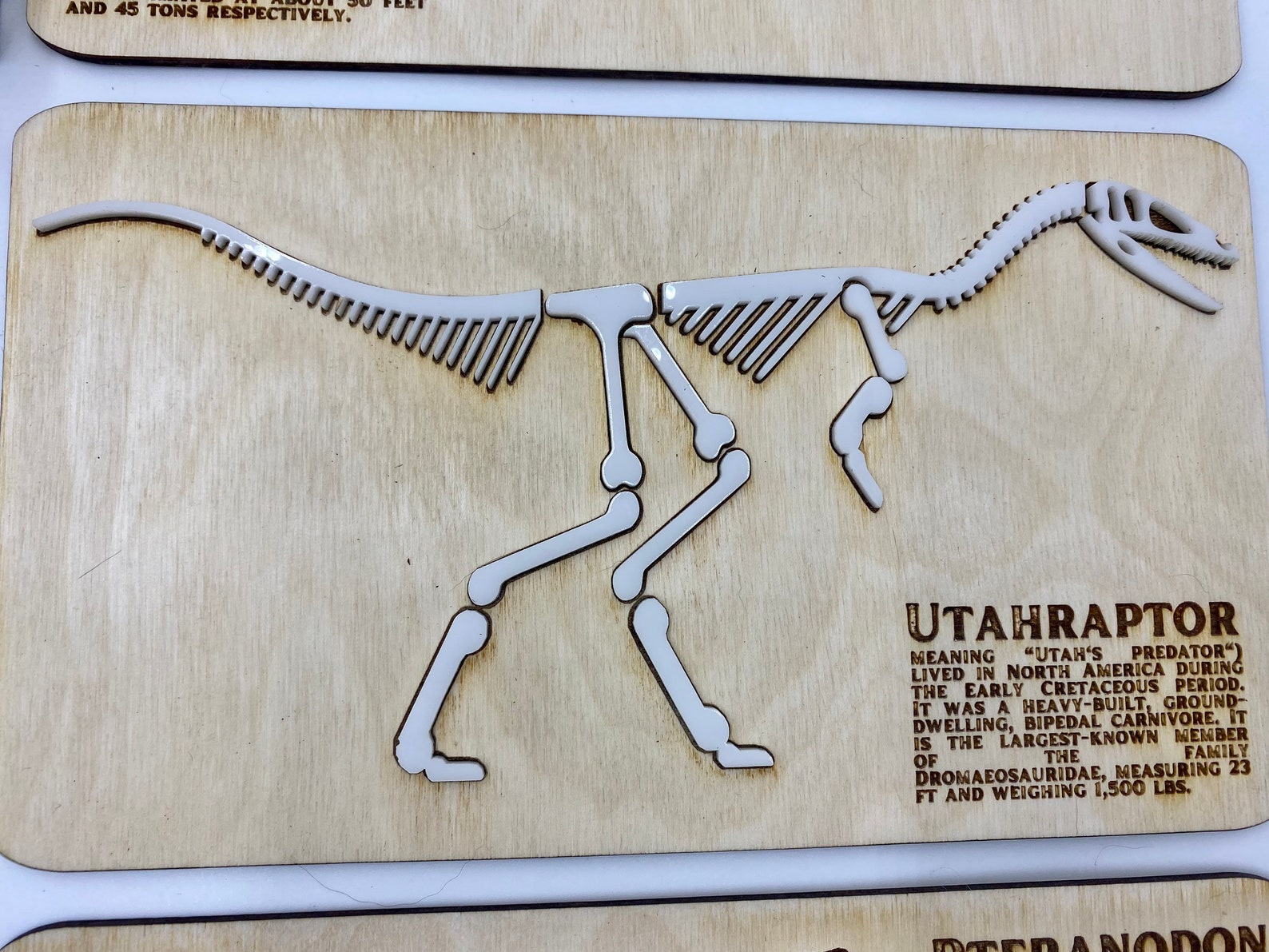 Dinosaur Fossil Puzzle SVG File for Glowforge and Laser Cutters, Dino ...