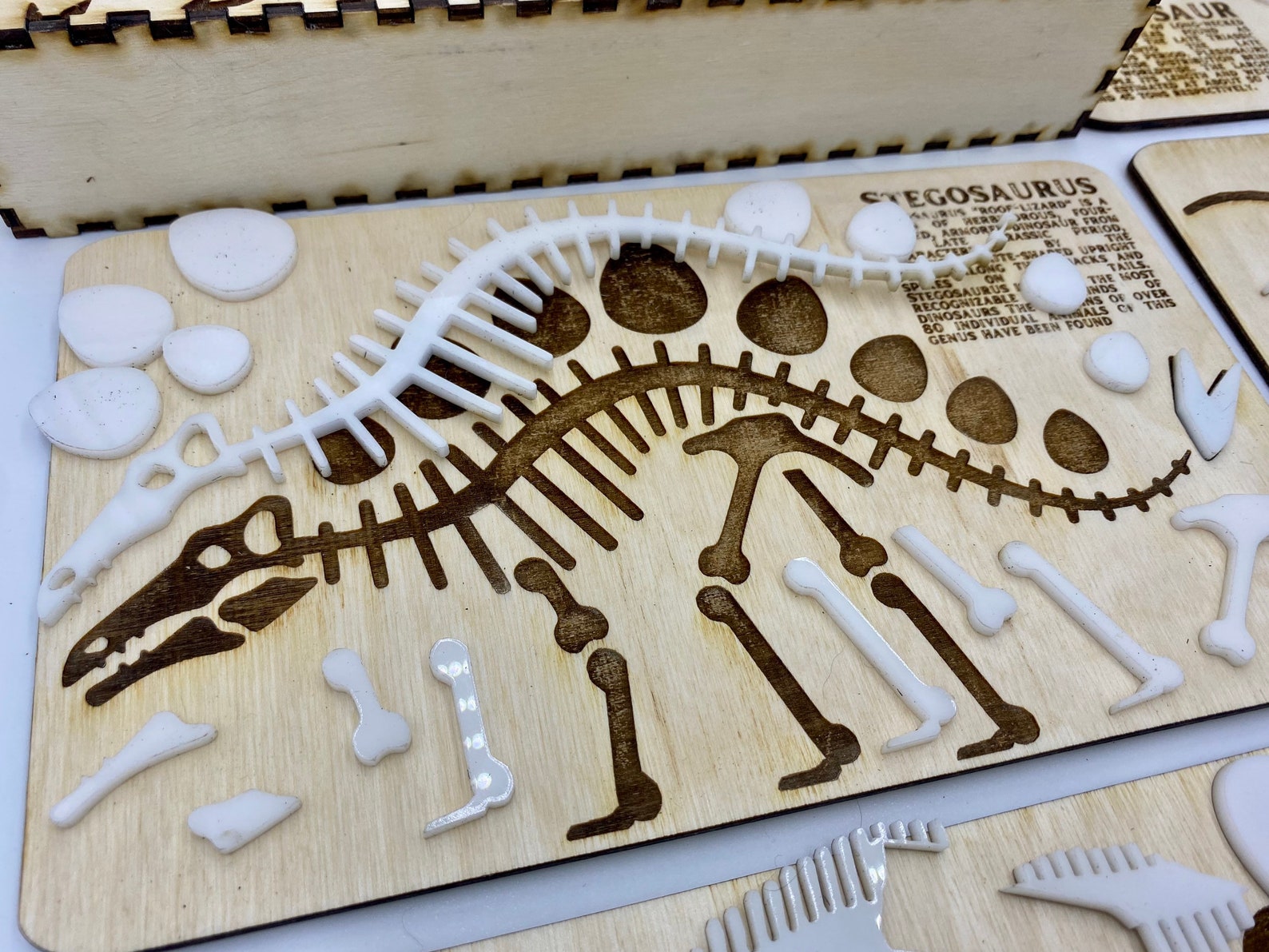 Dinosaur Fossil Puzzle SVG File for Glowforge and Laser - Etsy