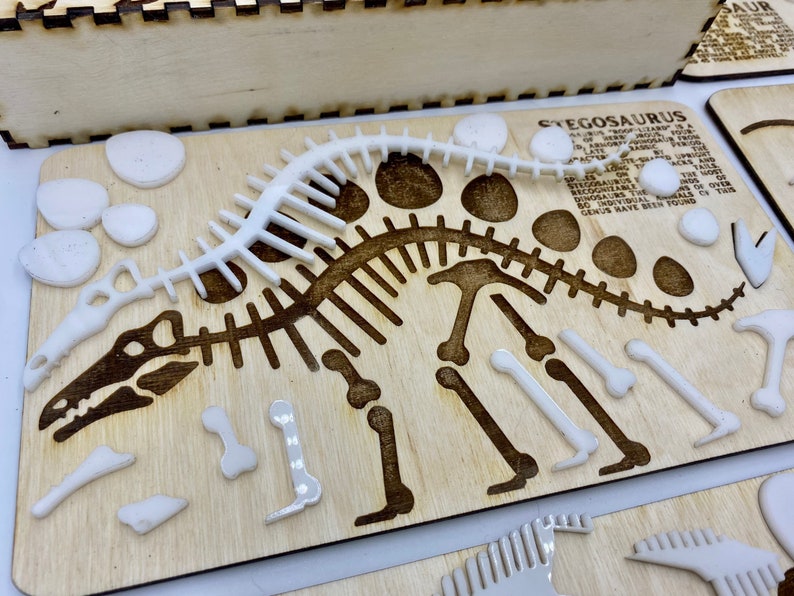 Dinosaur Fossil Puzzle SVG File for Glowforge and Laser - Etsy