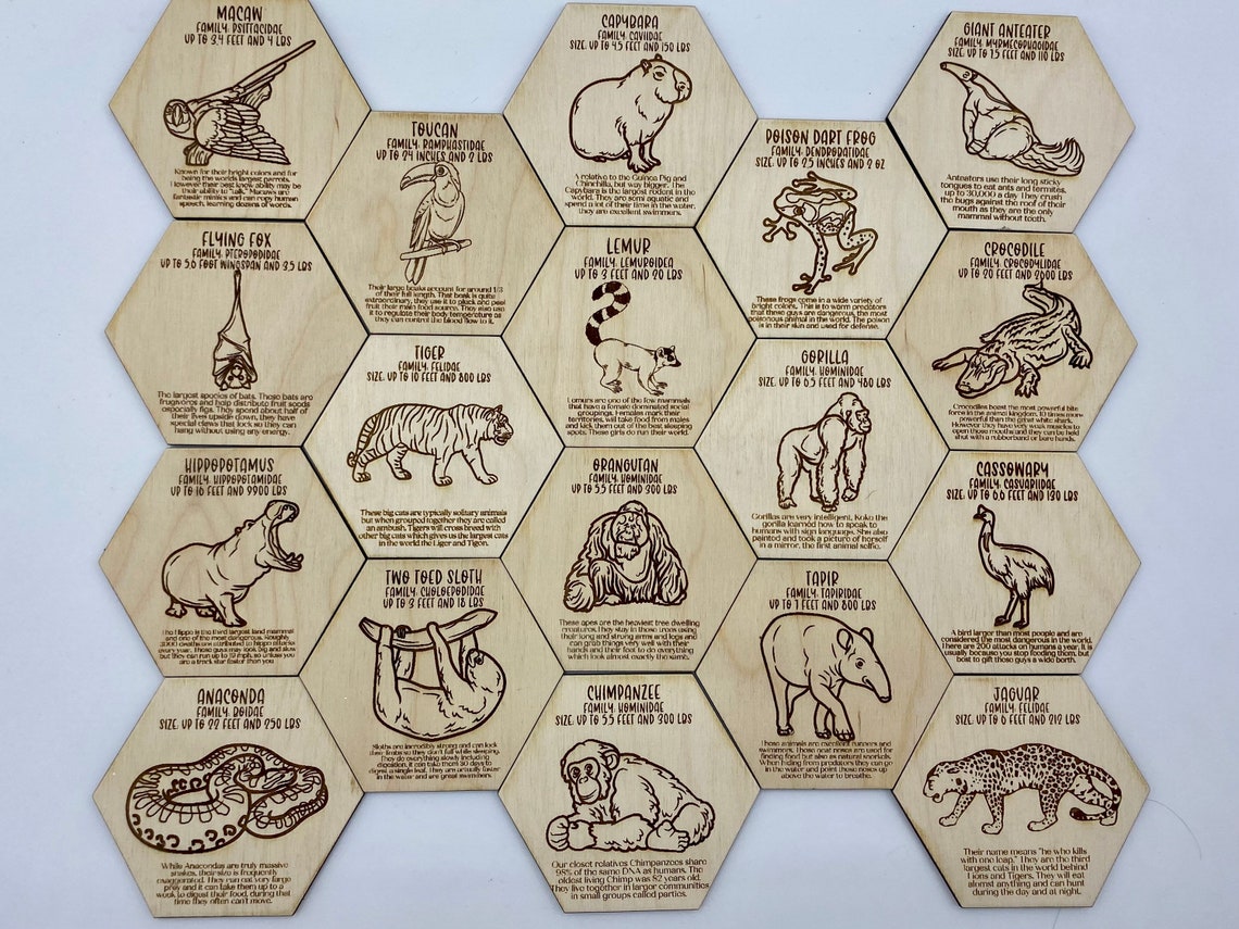 Jungle Animal Fact Token Bundle SVG File for Glowforge and | Etsy