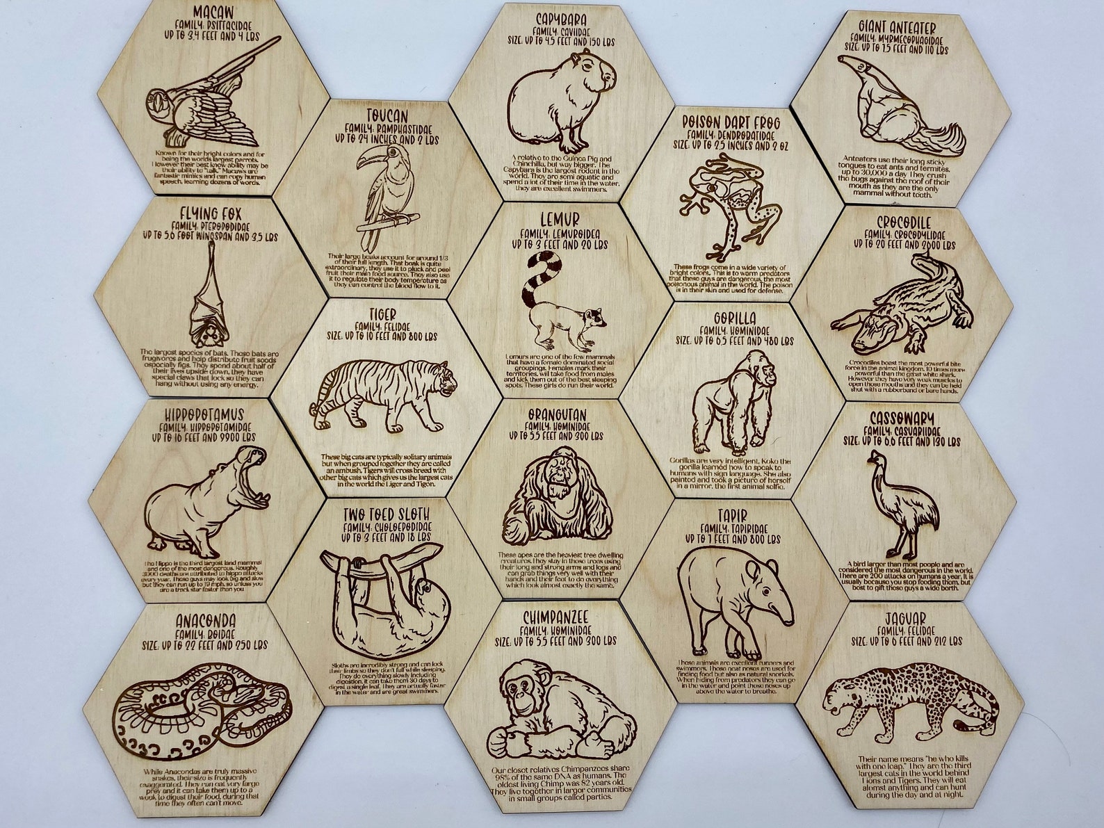Jungle Animal Fact Token Bundle SVG File for Glowforge and Laser ...
