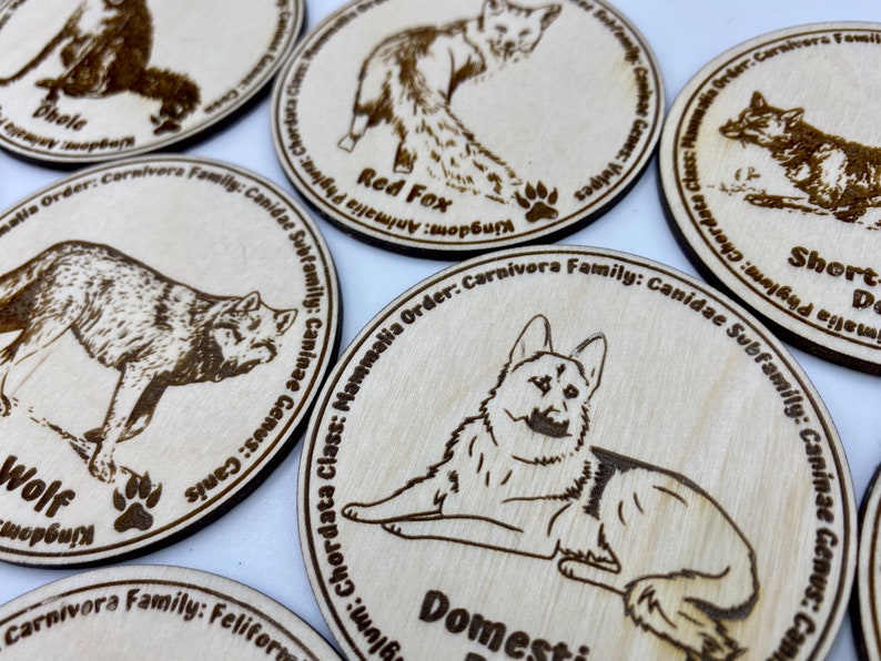 Feline/ Canine Species Coins Bundle SVG File for Glowforge and - Etsy