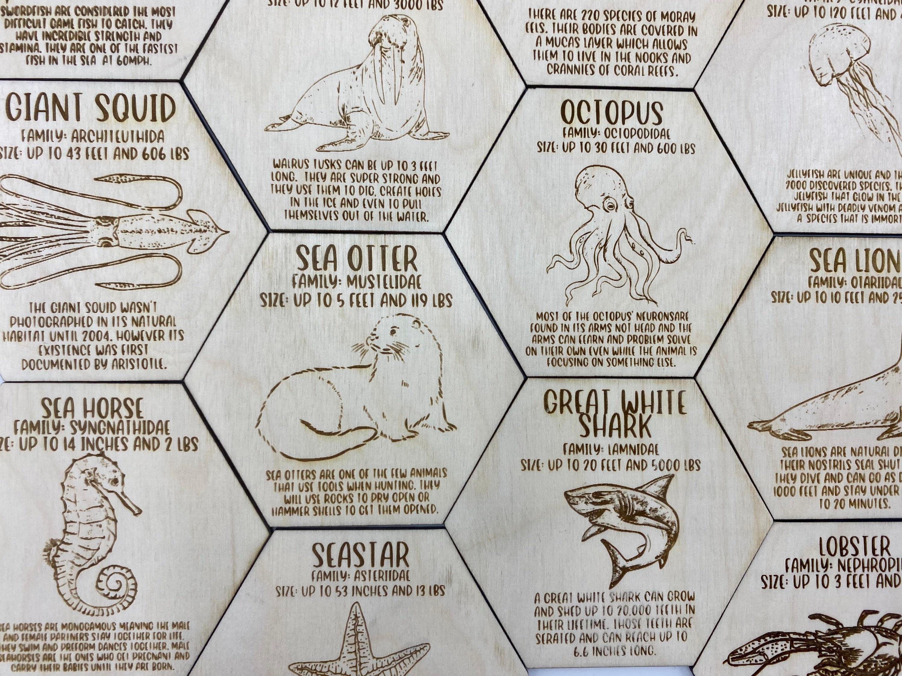 Sea Lifefact Token Bundle SVG File for Glowforge and Laser Cutters, 18 ...