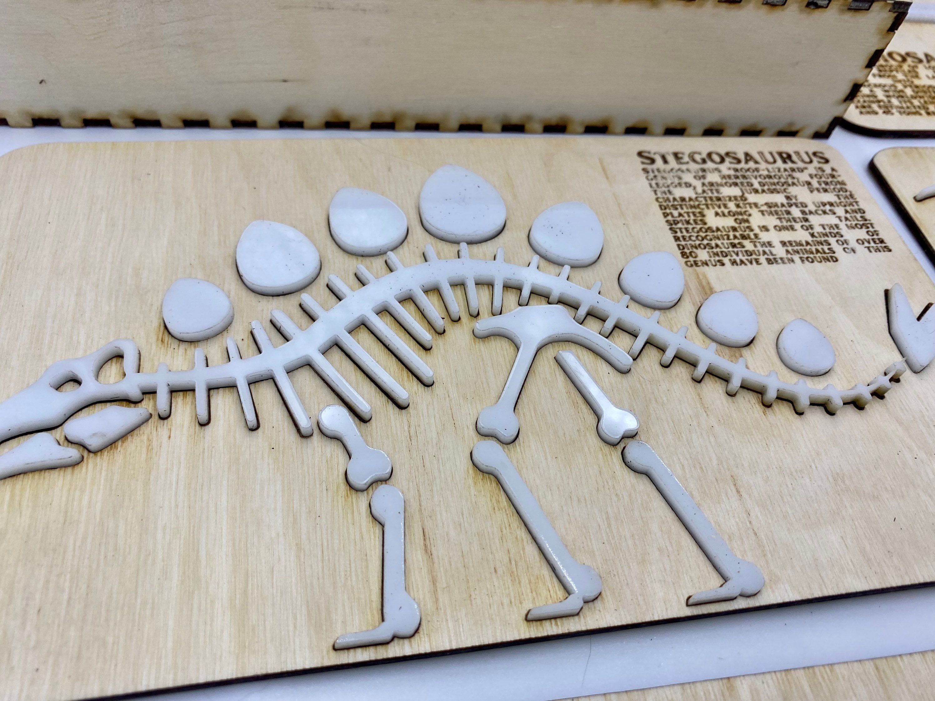 Dinosaur Fossil Puzzle SVG File for Glowforge and Laser - Etsy UK