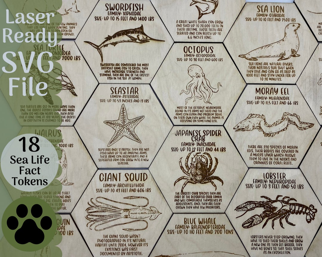 Sea Lifefact Token Bundle SVG File for Glowforge and Laser Cutters, 18 ...