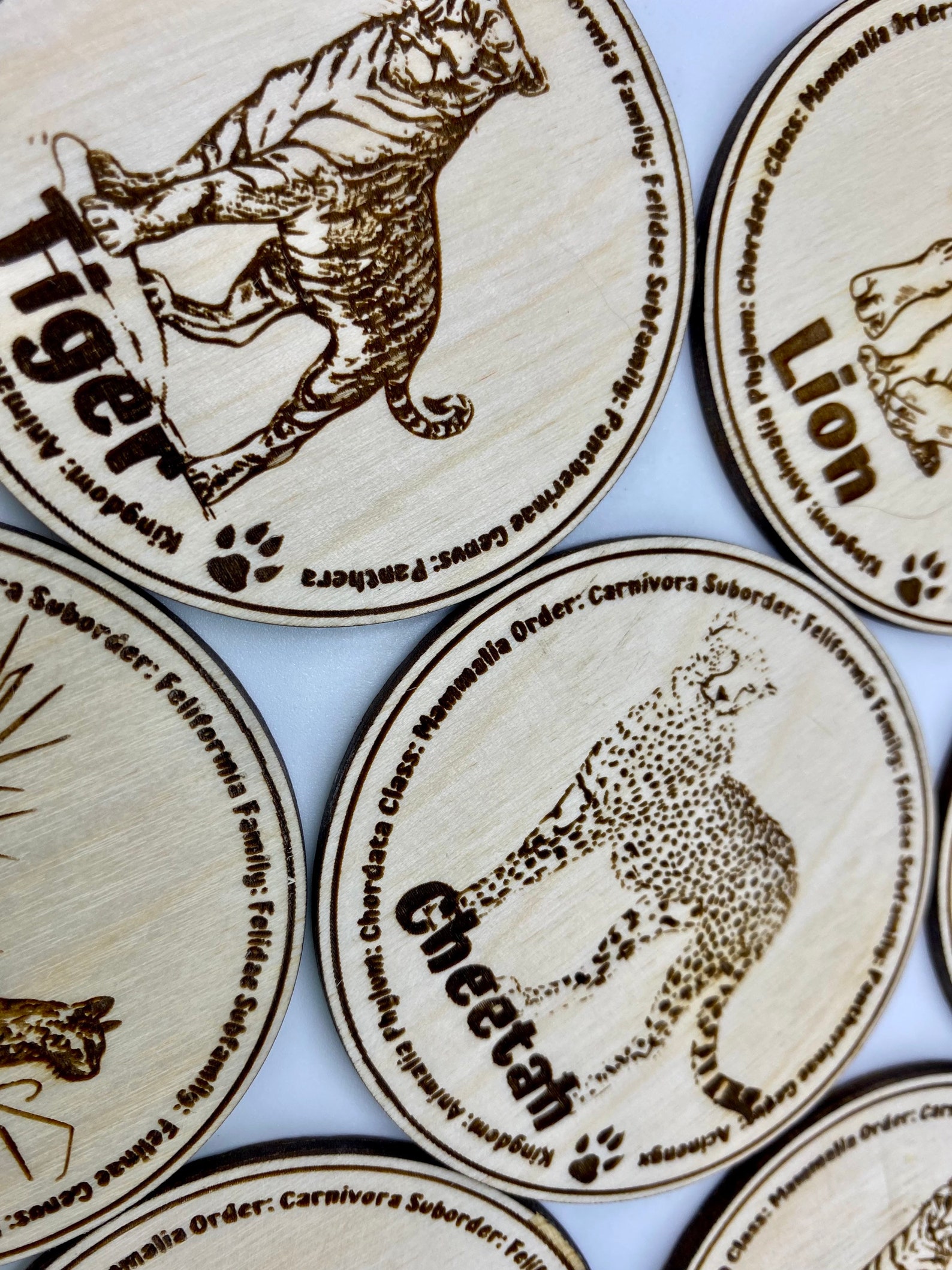 Feline/ Canine Species Coins Bundle SVG File for Glowforge and - Etsy