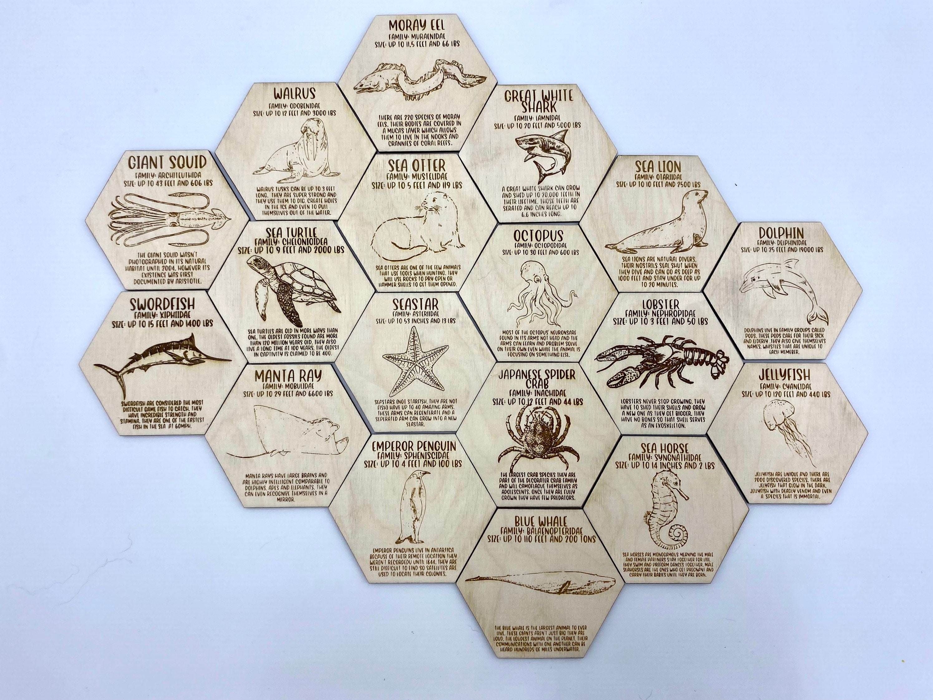 Sea Lifefact Token Bundle SVG File for Glowforge and Laser Cutters, 18 ...