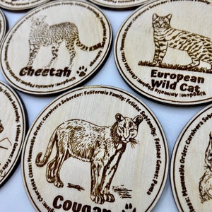 Feline/ Canine Species Coins Bundle SVG File for Glowforge and Laser ...