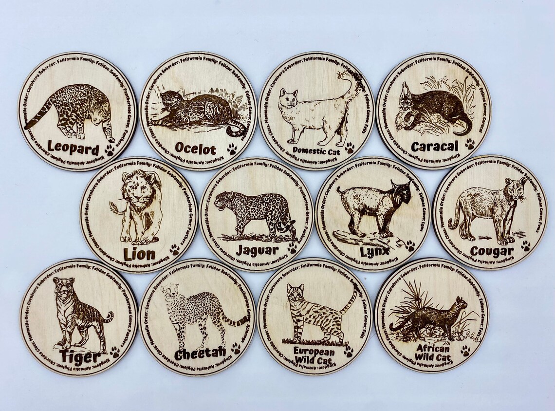 Feline/ Canine Species Coins Bundle SVG File for Glowforge and - Etsy