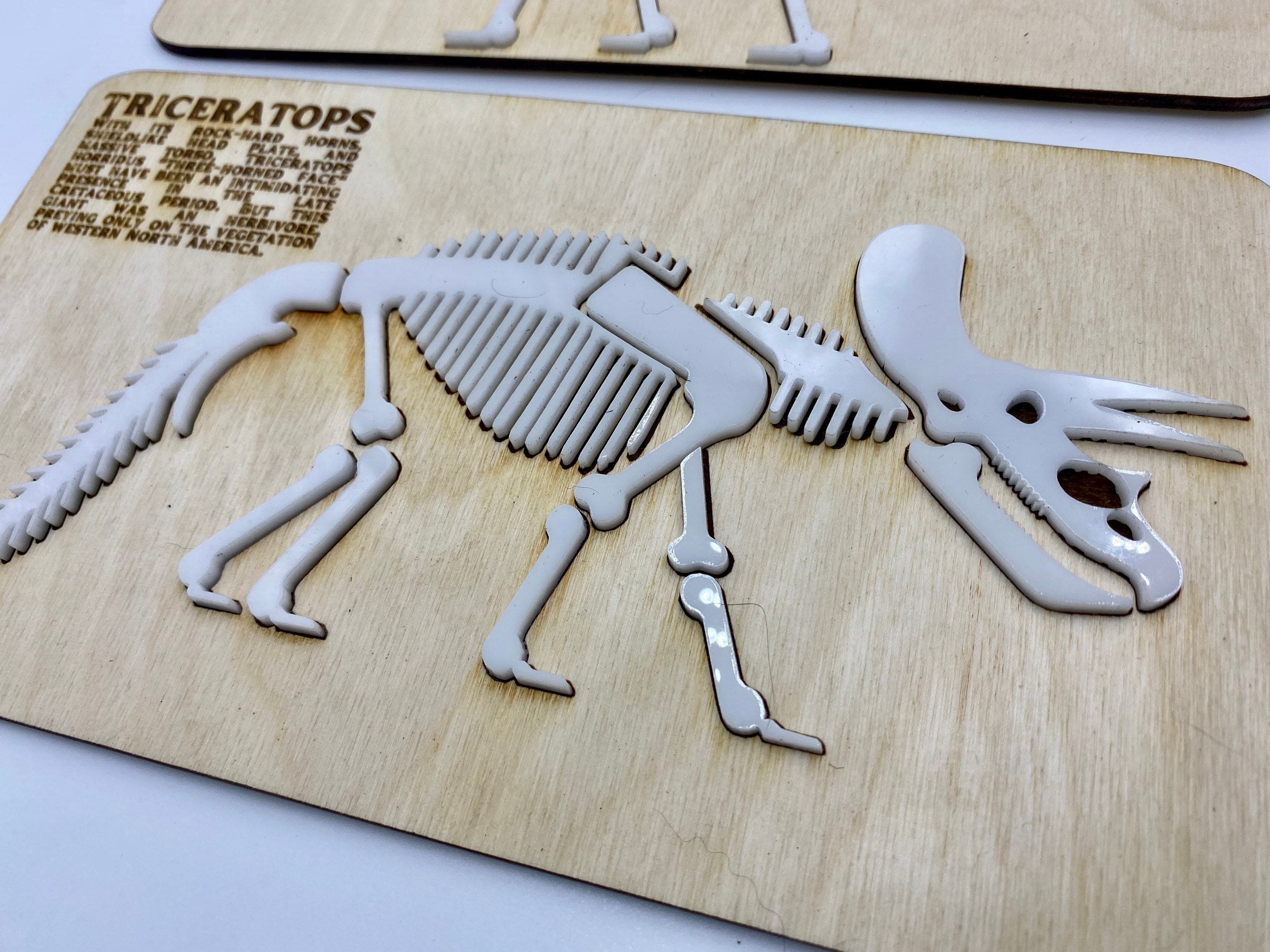 Dinosaur Fossil Puzzle SVG File for Glowforge and Laser - Etsy Hong Kong