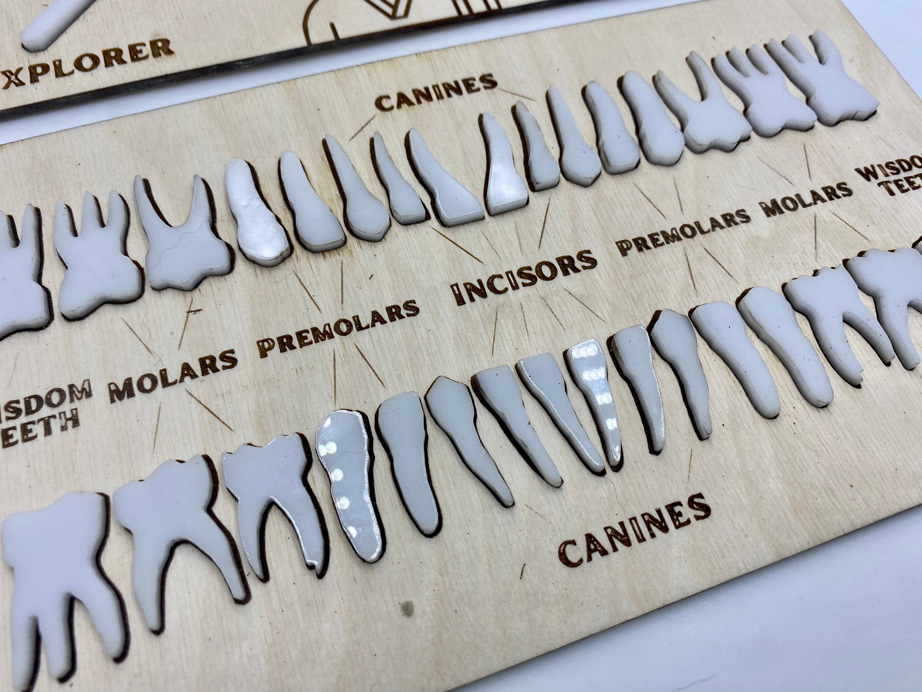 Doctor/ Dentist Puzzle SVG File for Glowforge and Laser - Etsy