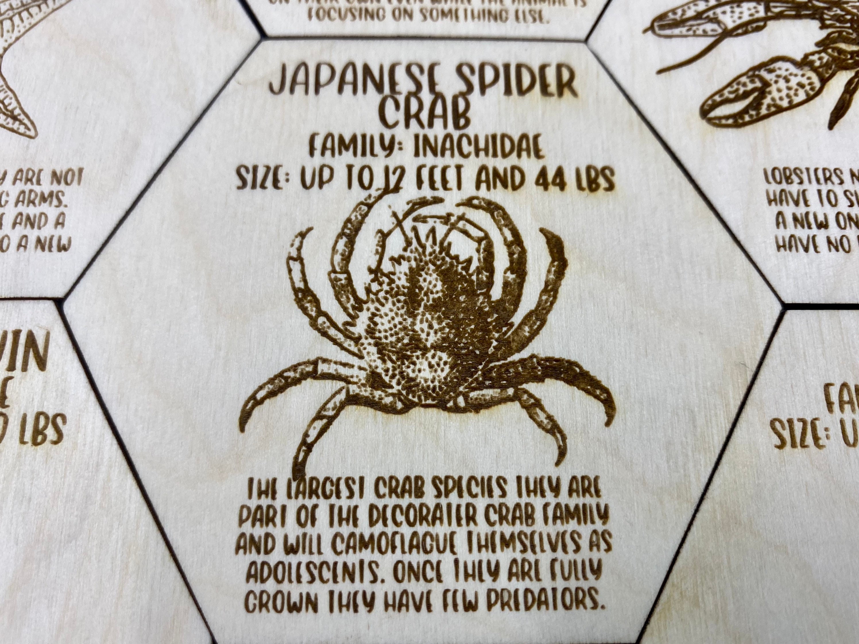 Sea Lifefact Token Bundle SVG File for Glowforge and Laser Cutters, 18 ...