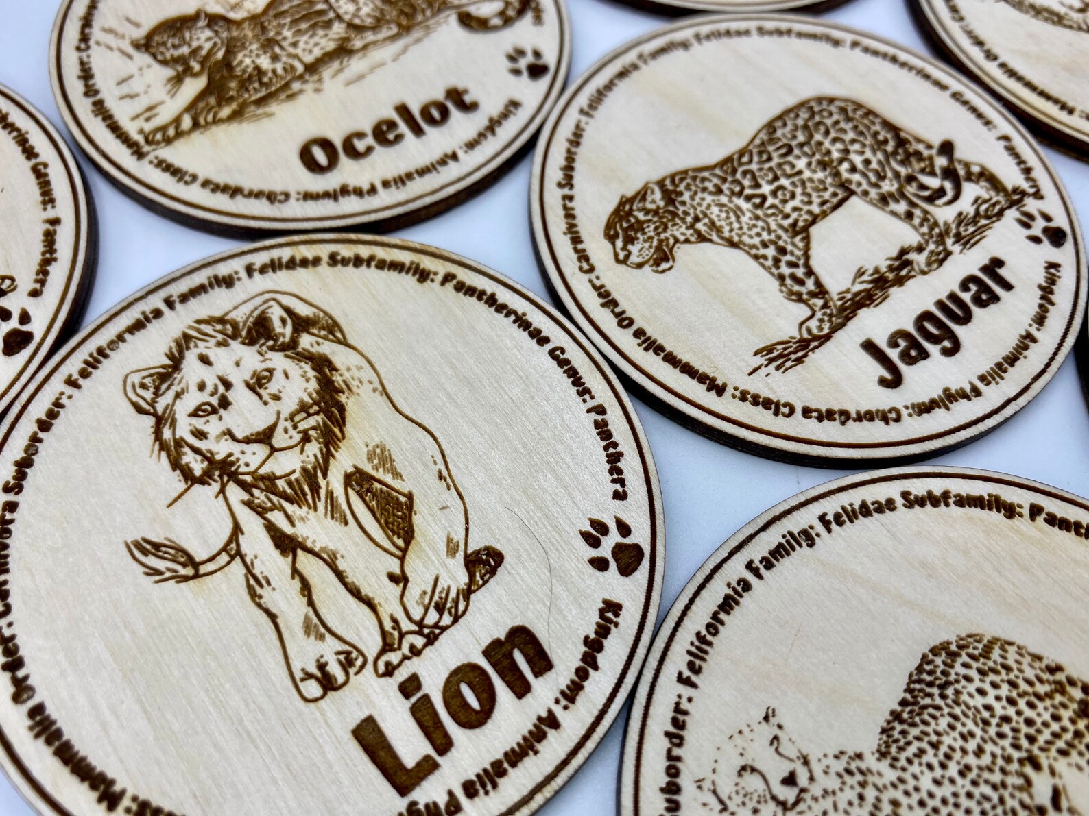 Feline/ Canine Species Coins Bundle SVG File for Glowforge and - Etsy