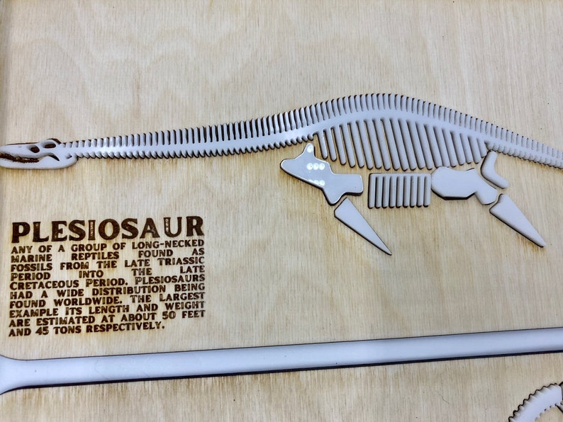 Dinosaur Fossil Puzzle SVG File for Glowforge and Laser - Etsy