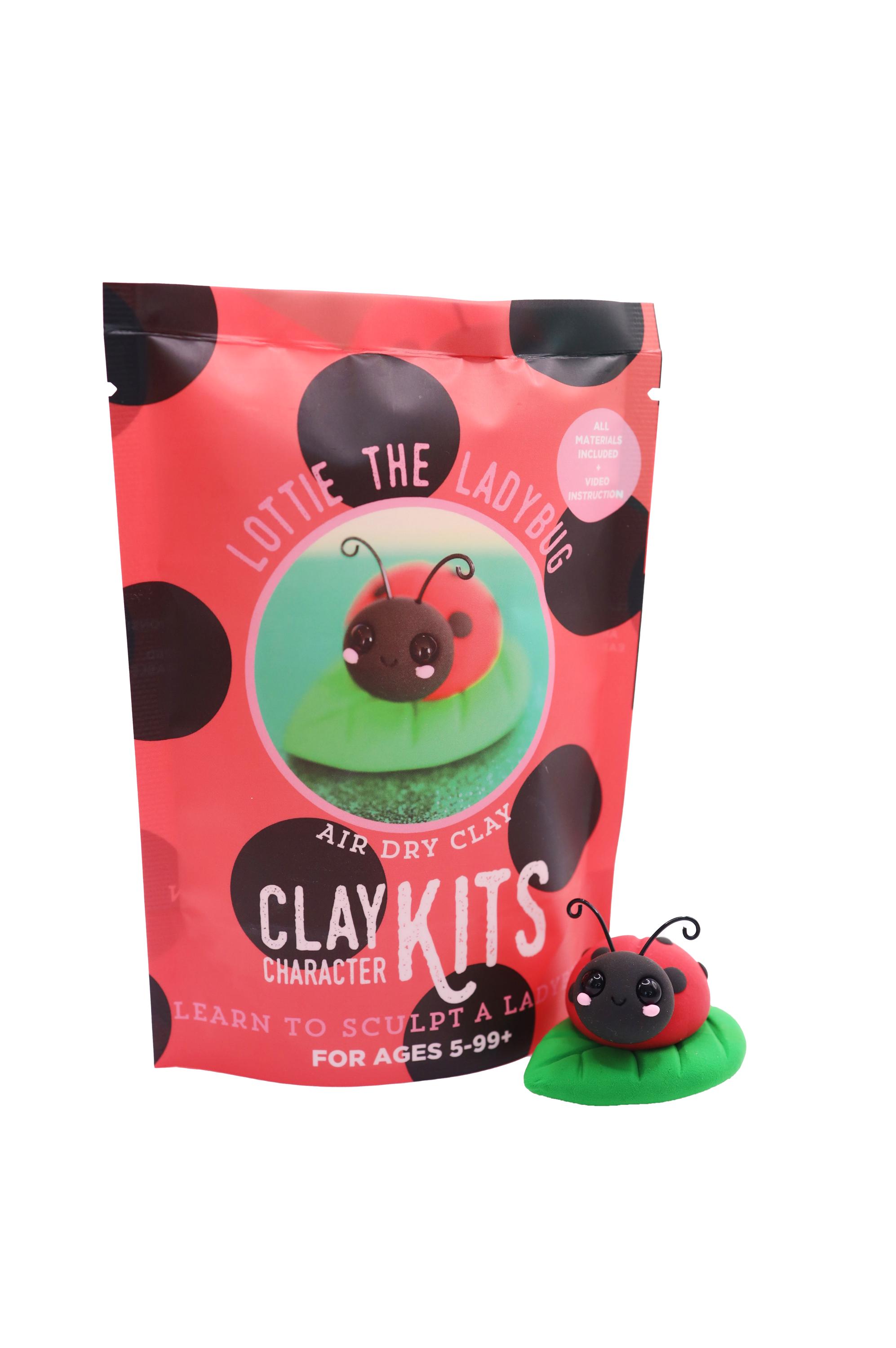 Lottie the Ladybug DIY Air Dry Clay Kit – Cute Bug Craft for Kids ...