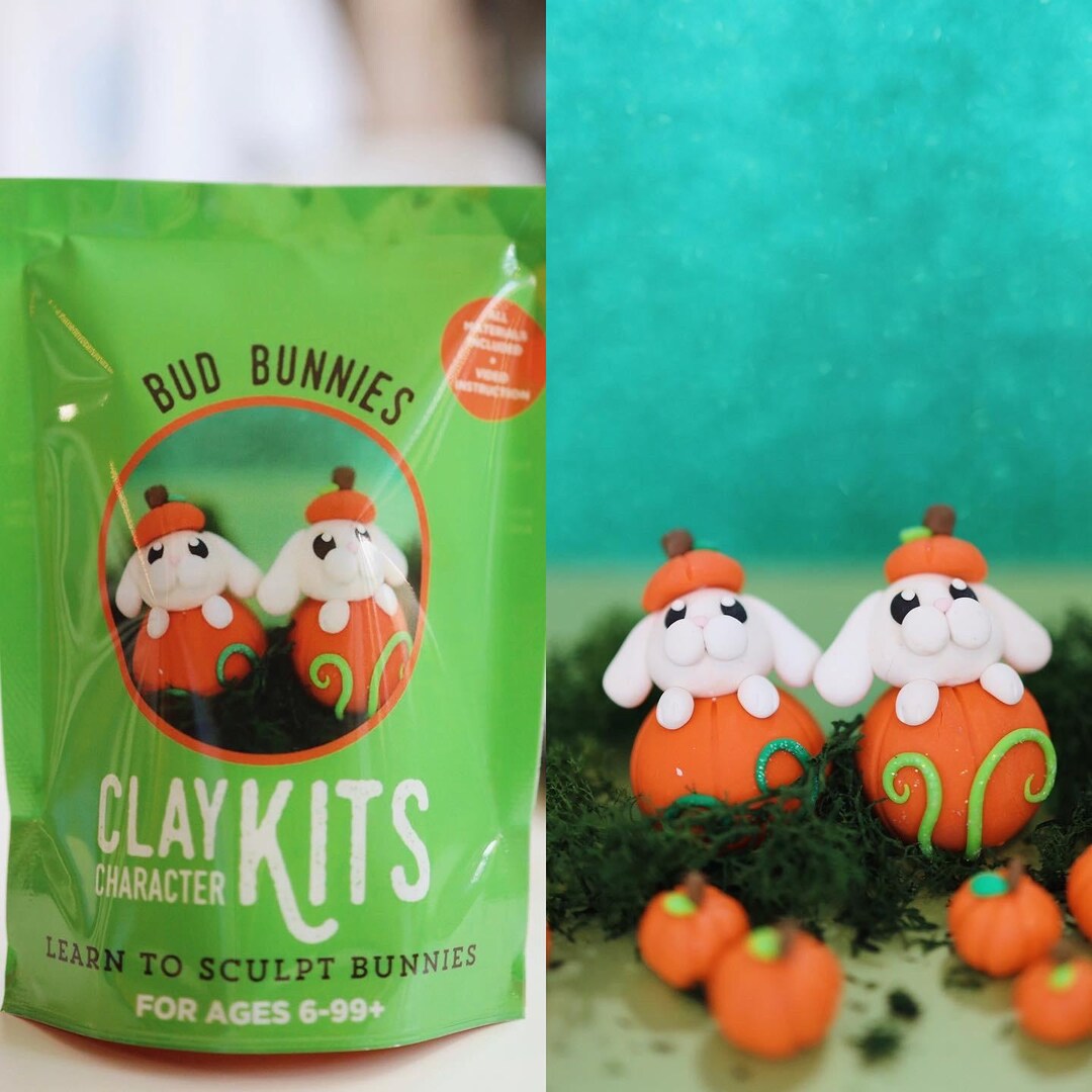 Bud Bunnies DIY Clay Character Kit - Etsy