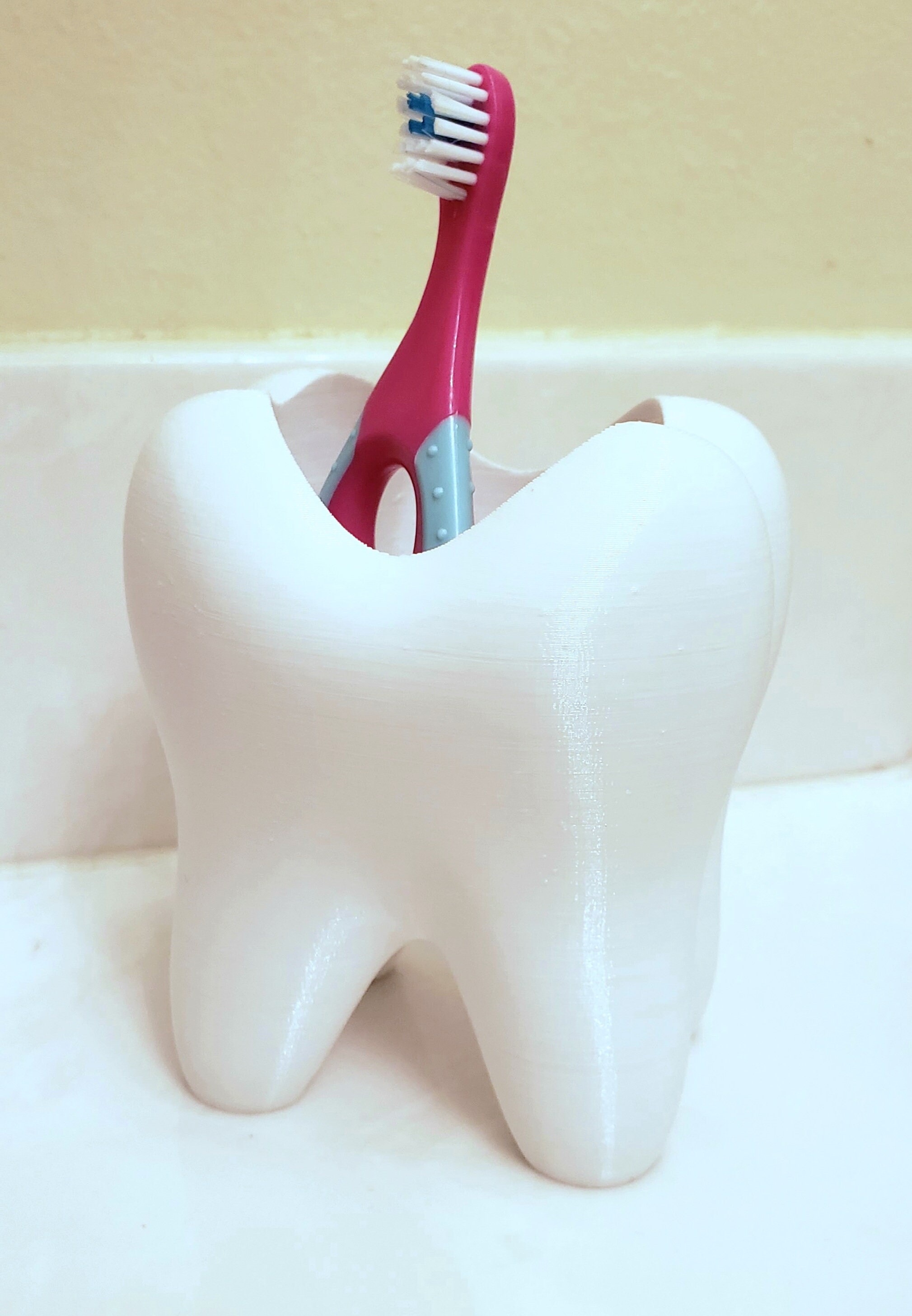 Tooth Toothbrush/toothpaste Holder Kids and Adults - Etsy