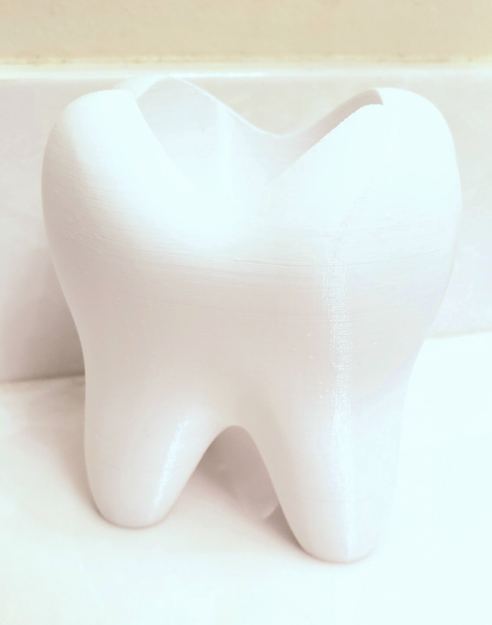 Tooth Toothbrush/toothpaste Holder Kids and Adults - Etsy