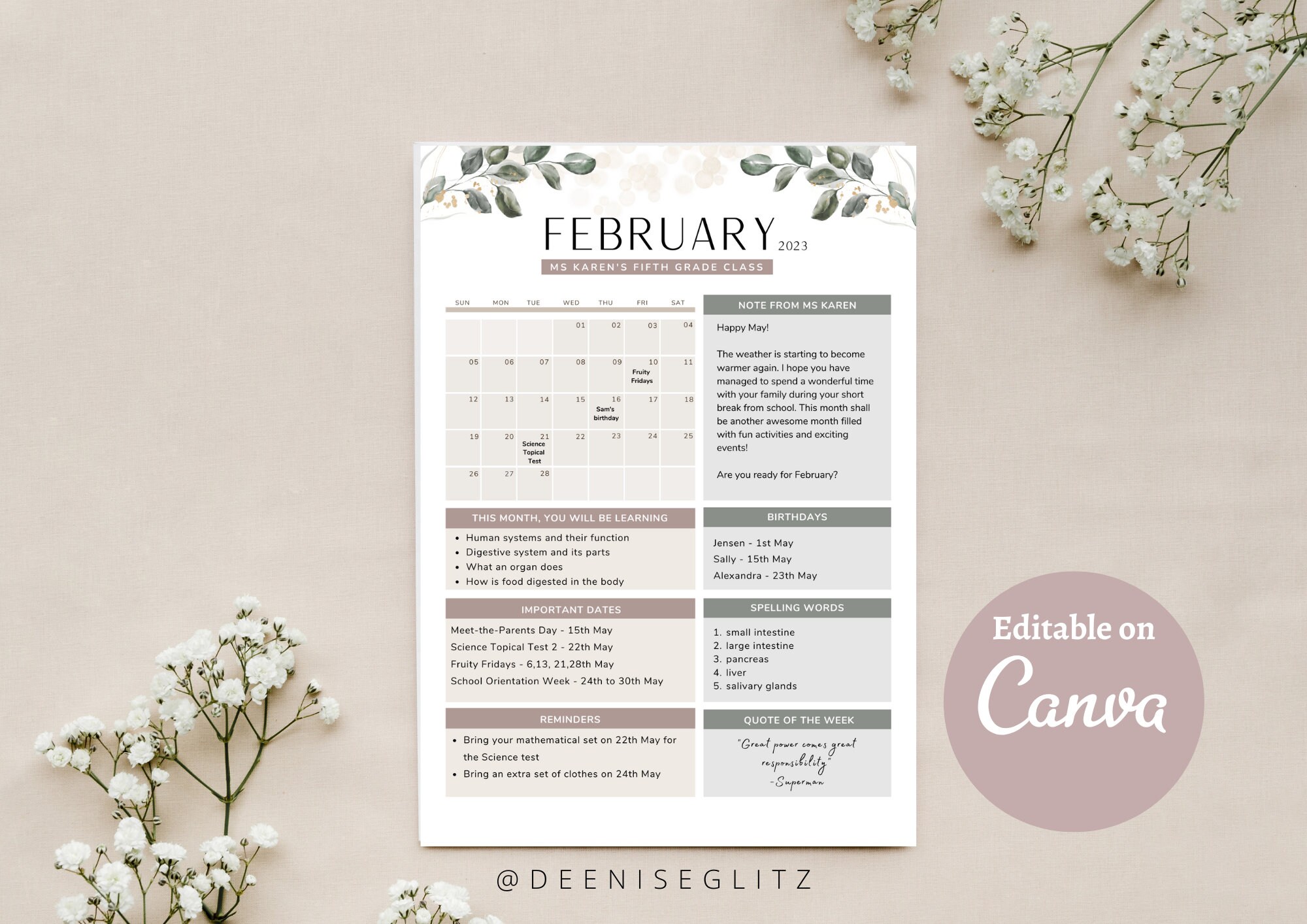 BOTANICAL Monthly Newsletter Template, Class Newsletter, School ...