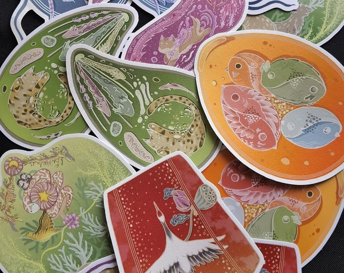 Parasite Die Cut Stickers Pack | Parasitology | Science Art - Etsy