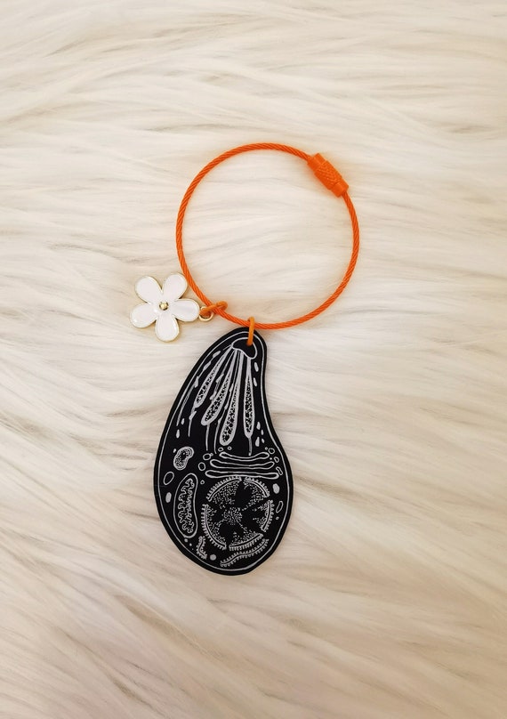 Customizable Protozoa Keychain Parasite Keychain | Etsy