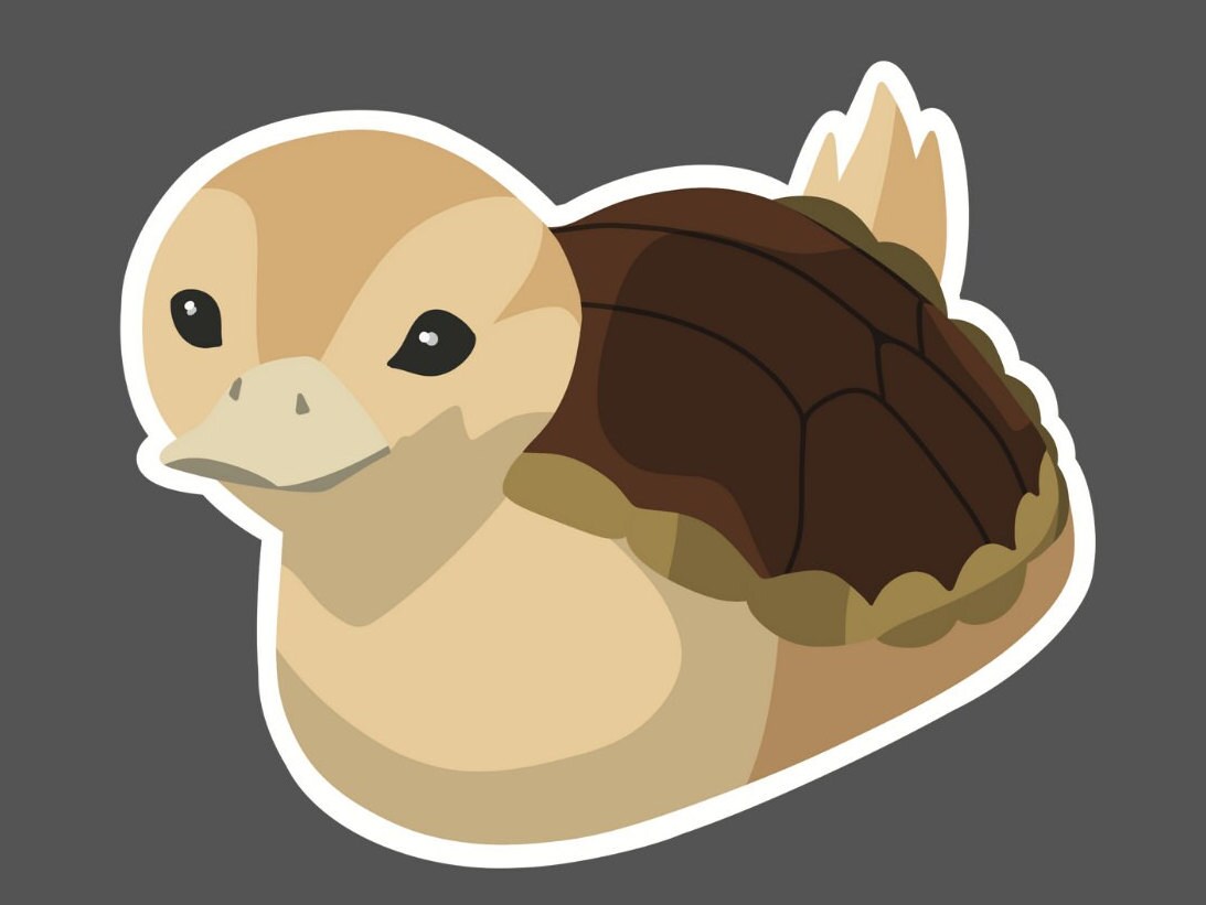 Turtle Duck - Etsy