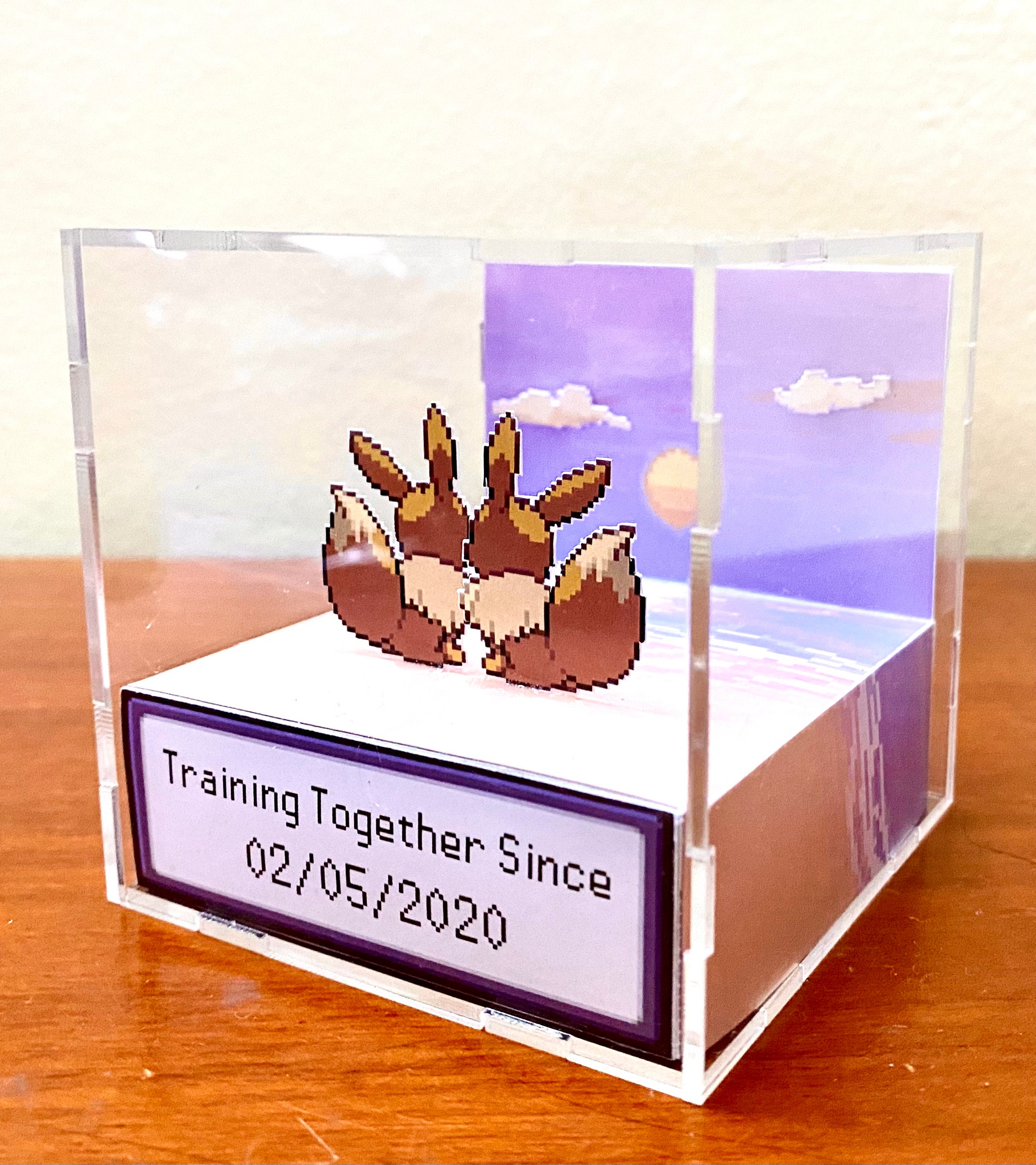 Pika & Eevee Couple Sunset Beach 3d Cube Diorama Gift for - Etsy