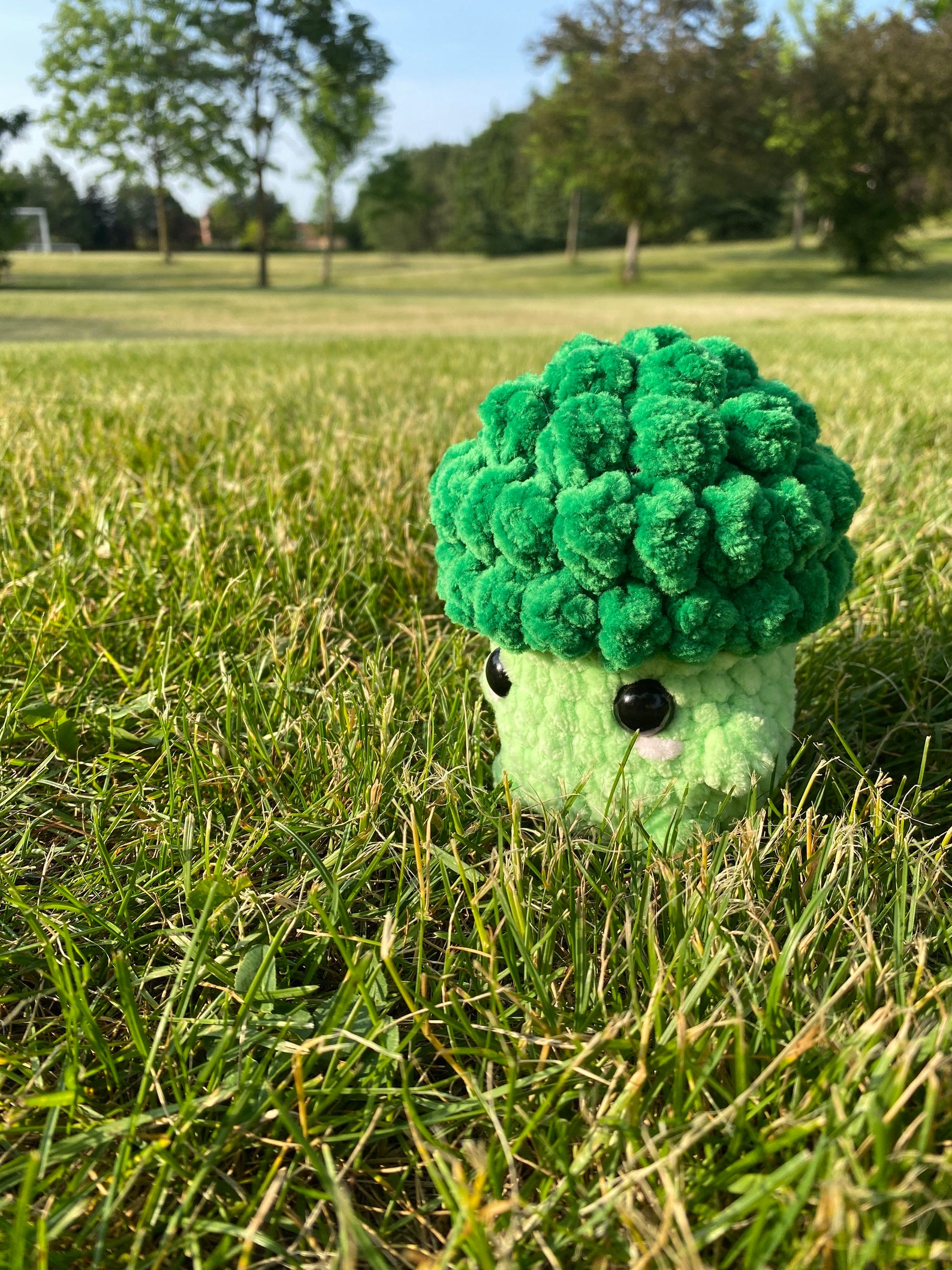 BROCCOLI | Crochet Broccoli Amigurumi | Cute Veggie Plush | Broccoli ...