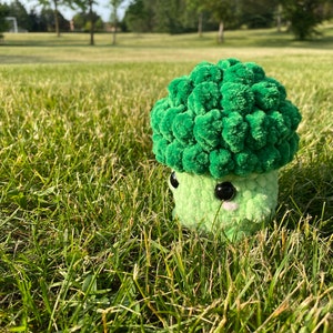 BROCCOLI | Crochet Broccoli Amigurumi | Cute Veggie Plush | Broccoli ...