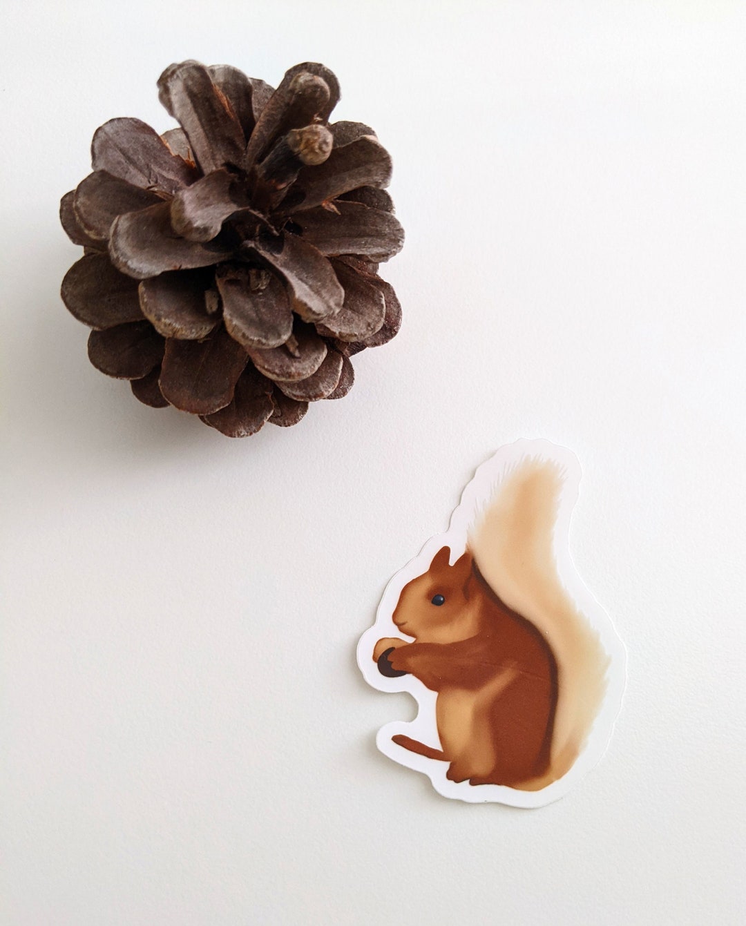 Squirrel Sticker | Vinyl Sticker | Waterproof Sticker | for Laptops ...