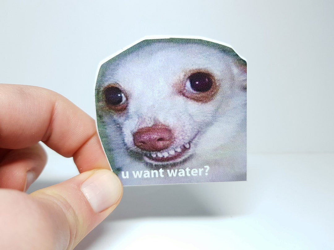 Meme Sticker "u Want Water?" - Funny Chihuahua Sticker for Dog Lovers ...