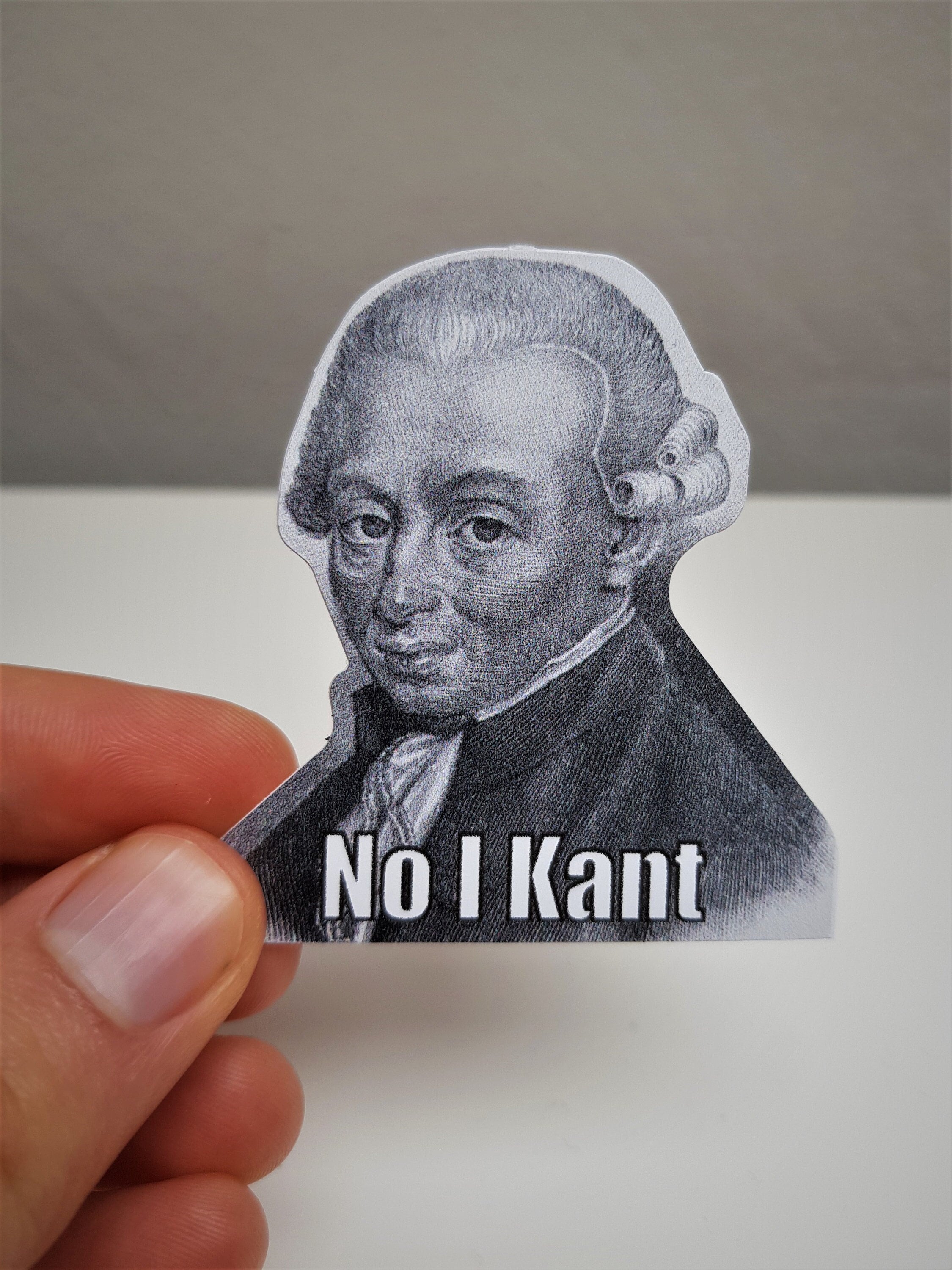 Meme Sticker no I Kant Funny Philosophy Sticker - Etsy